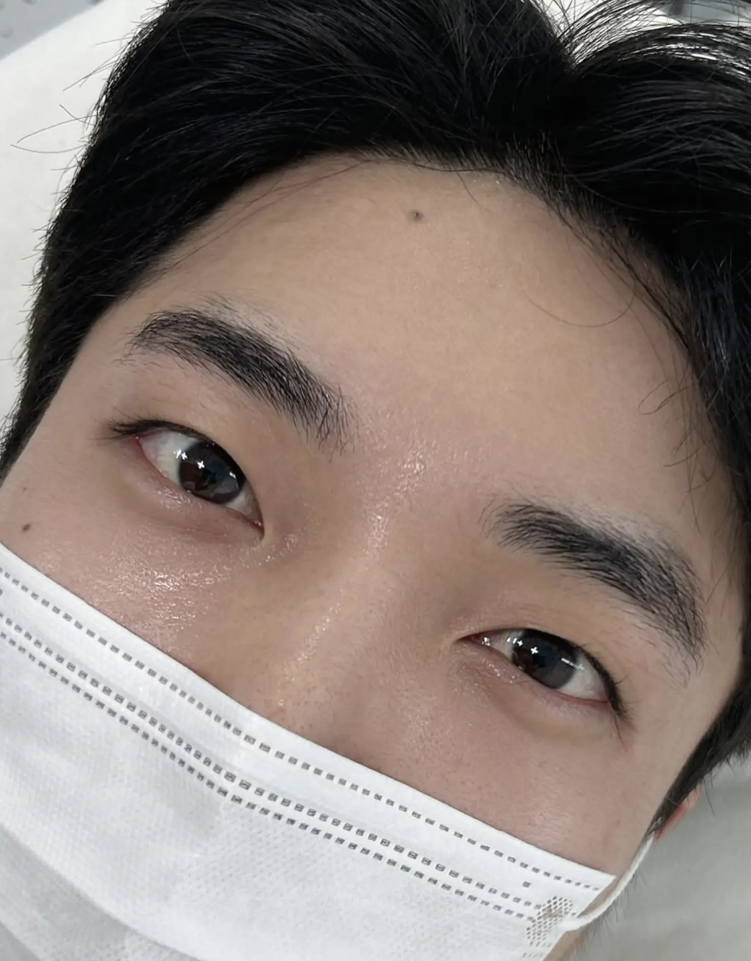 Who has the most perfect eyebrows in the world?